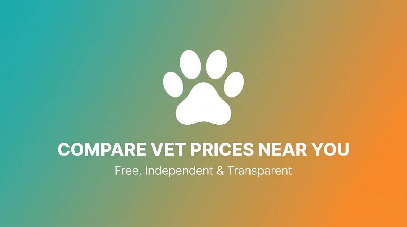 Compare Vet Prices Near You – The Vet Price Comparison Site